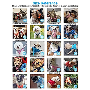 Dog Harness and Leash Set for Walking, Escape Proof Vest Harness with Soft Mesh, Adjustable Velcro, Reflective Strips for Kitten Cats and Puppy Dogs