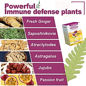 NuWonder Immunity Support Herbal Supplement made with Astragalus, Ginger, Jujube, Atractylodes, Natural Passion Fruit Flavor, Fizzy Bubbles, No Artificial Ingredients, Immune Booster Drink Mix 10packs
