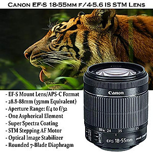 Rebel SL3 DSLR Camera & 18-55mm STM + 55-250mm STM Lens w/ 64GB Transcend Memory Card, Shoulder Sling Strap, Gadget Bag & More Essential Accessory Bundle