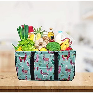 NGIL Extra Large Utility Tote Reusable Grocery Bag Oversized Collapsible for Groceries, Storage, Picnic, Beach (Floral Pattern-navy)