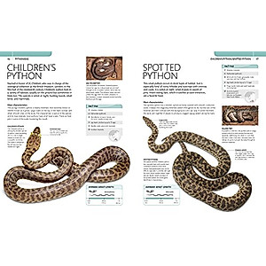 Snake: The Essential Visual Guide