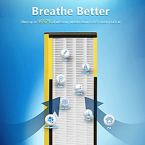 FCFMY 3 Packs FLT4825 True HEPA Replacement Filter B Compatible with AC4825, AC4300BPTCA, CDAP4500BCA, CDAP4500WCA, AC4825DLX, AC4850PT, AC4900CA Air Cleaner Purifier, 3 HEPA and 6 Carbon Pre-Filter