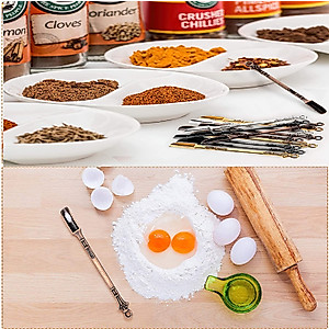 4Pcs Mini Snuff Spoon,Mini Shovel,Metal Scoop Shovel Medicine Spoon(Multicolor)