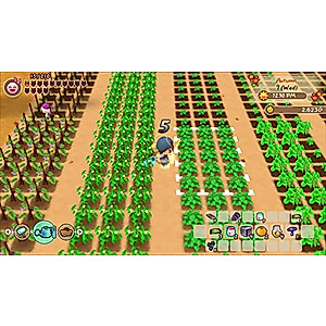 Story of Seasons: Friends of Mineral Town - Nintendo Switch