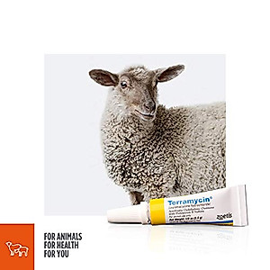 Zoetis Animal Health Terramycin Antibiotic Ophthalmic Ointment 1/8 oz