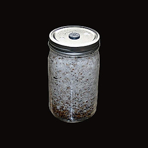 64pcs Synthetic Filter Paper Stickers-20mm Diameter,0.25Micron Filter,Used For Mushroom Cultivation, Place Under The Mason Jar Lids