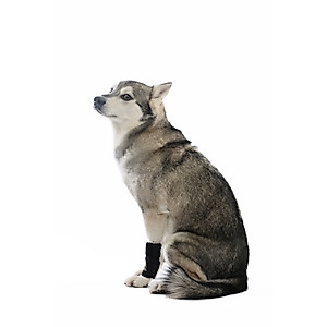 AGON® Pair Dog Canine Front Leg Brace Paw Compression Wraps with Protects Wounds Brace Heals and Prevents Injuries and Sprains Helps with Loss of Stability Caused by Arthritis (Large/X-Large)