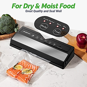 GERYON Vacuum Sealer Machine, Automatic Food Sealer Detachable Design|Led Indicator Lights|Dry Moist Food Modes| Compact Design w/ Starter Kit(Silver)
