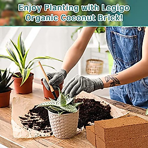 Legigo 2 Pack Premium Coco Coir Brick for Plants- 100% Organic Compressed Coconut Coir Bricks Starting Mix, Coco Coir Fiber Coconut Husk for Planting, Gardening, Potting Soil Substrate, Herbs
