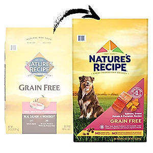 Nature’s Recipe Grain Free Salmon, Sweet Potato & Pumpkin Recipe Dry Dog Food, 24 lb. Bag