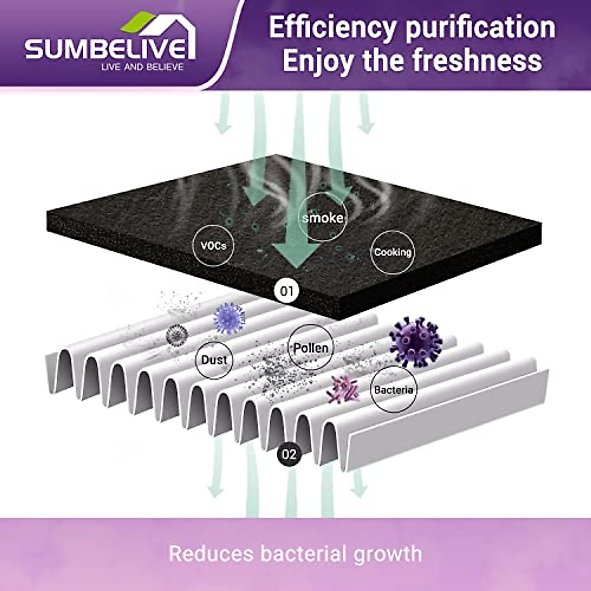 115115 replacement Filter for Winix Air Purifier C535 Filter A, 2 True HEPA(H13) Filter + 8 Activated Carbon Filters （2 Sets-A Total of 10）