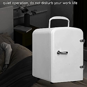 HEEPDD Mini Beauty Fridge, 4L Portable Cooler Warmer Refrigerator Multifunctional Practical Mini Fridge Includes DC12V Car Plug for Skin Care Beverage AC100‑240V (US Plug