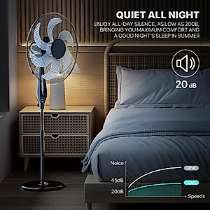 mollie Oscillating Pedestal Fan with Remote Control 12H Timer Portable Adjustable Height 6 Blades Quiet Air Circulator Standing Floor Fan for Bedroom Home Black