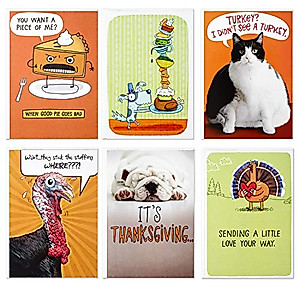 Hallmark Funny Shoebox Funny Thanksgiving Card Assortment (6 Cards with Envelopes)