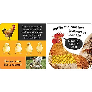 Noisy Farm: Includes Six Sounds! (My First)