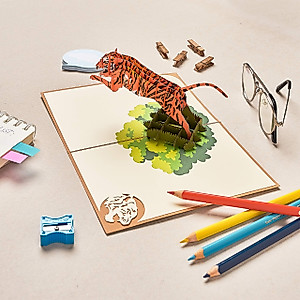 Rykamia Tiger Pop Up Card, Blank, with Envelope, 3D, Delightful Illustrations, Suitable for Any Occasion, Protective Poly Bag Included