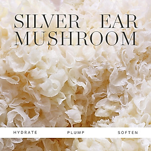 KORA Organics Milky Mushroom Oil Cleanser, Cleanse & Nourish, Certified Organic, Cruelty Free, 5.07 oz