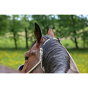 BENEFAB Therapeutic Poll Pad | Far-Infrared Therapy | Comfort & Care for The Poll | Helps Jaw Tension | Provides Relief & Cushion (Princess Purple)