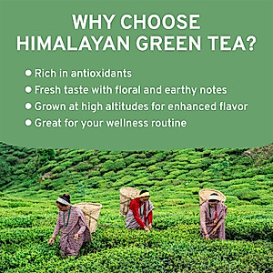 VAHDAM, Himalayan Green Tea Leaves (50+ Cups, 3.53 Oz) Non GMO, Gluten Free | High Elevation Grown Green Tea Leaves From Himalayas | Pure Unblended Single Origin Green Loose Leaf Tea | Vacuum Sealed