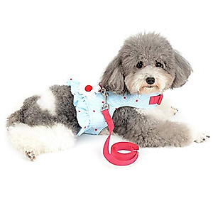 SMALLLEE_LUCKY_STORE Bow Flower Striped Print Cat Small Dog Harness Dress with Leash for Girls Adjustable No Pull Escape Proof Soft Walking Jacket Waterproof Puppies Kitten Harness Vest Outdoor,Blue S