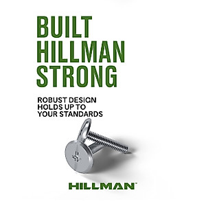 Hillman Group Combo Sidewalk Bolt, Hurricane Hardware, 25 Pieces, Rust-Resistant, Durable, Truss Head, (1/4" x 1") Stainless Steel (707308)