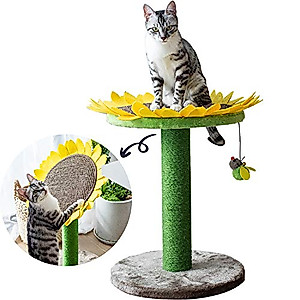Catry Cat Tree – Nature Looking of Cat beds and Furniture All-in-1, Allure Cats Love to Lounge in and Lazily Recline While Playing with Cute Bees Toys and Scratching Post, Adjustable Sunflower