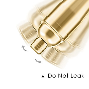 LUCKYGOOBO Cocktail Shaker with Double Measuring Jigger,18/8 Stainless Steel 24oz Martini Shaker Set,Drink Shaker Built-In Strainer,Bartender Kit. (Gold)