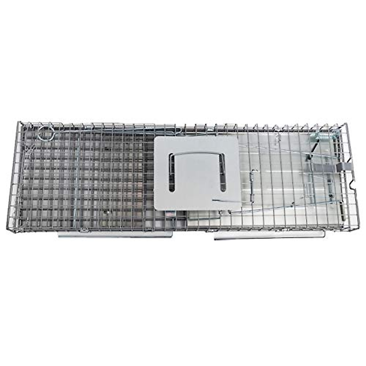 Animal Trap (32"x10"x12") - Best Humane Animal Trap for Gophers, Racoons, Possums, Groundhogs, Beavers and Other Similar Sized Animals. Easy Trap Catch & Release cage with 1-Door by LifeSupplyUSA