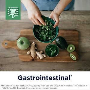 Designs for Health GI Revive - Slippery Elm Gut Health Support with Licorice Root, L-Glutamine + Zinc Carnosine - MSM, Marshmallow Root Powder + Okra Extract (210 Capsules)