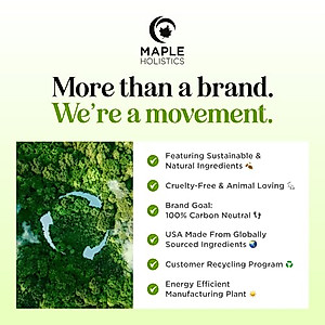 Tea Tree Oil Body Wash - Hydrating Shower Gel Tea Tree Body Wash for Women and Men - Women and Mens Body Soap with Peppermint and Tea Tree Essential Oil and Moisturizing Body Wash for Dry Skin Care