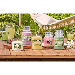 Yankee Candle Small Jar Candle - Sunny Daydream Scented Candle - Up to 30 Hours Burn Time - Garden Hideaway Collection