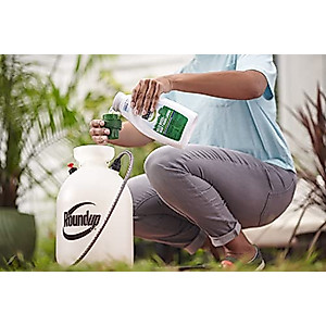 Roundup 5008410 Lawns 5 Concentrate, 32oz