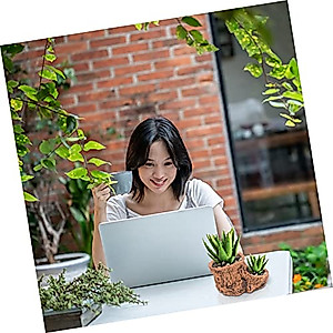 DOITOOL 1pc Stump Orchid Home S Indoor Garden Outdoor Flower Hole Plants Cactus for with Succulent Drainage Flowerpot Pot Bowl Planter Cement Decoration Desktop Container Bonsai Driftwood