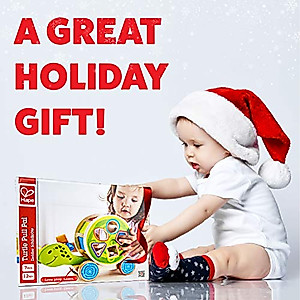 Hape Turtle Shape Sorter Wooden Toys Turtle Wooden Blocks Shape Sorter Pull Toys for Toddlers, Infant Shape Sorter Travel Toys