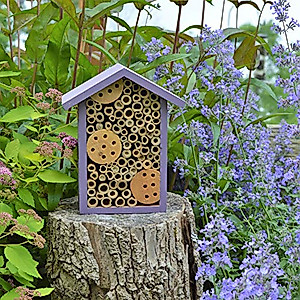 Nature's Way Bird Products PWH1-B Purple Bee House