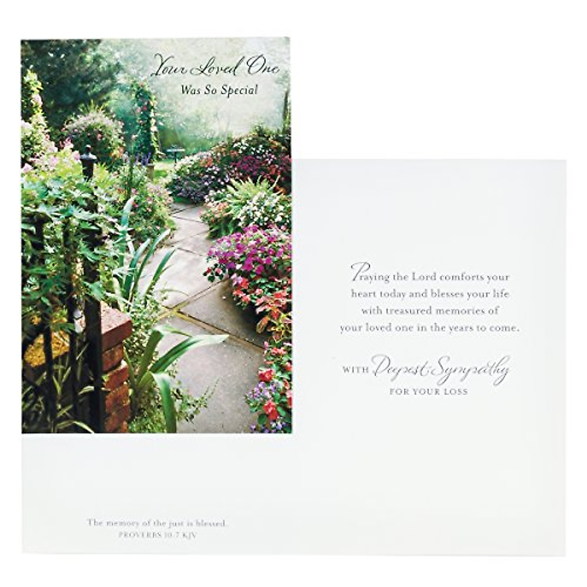 Dayspring - Sympathy - Peaceful Paths - 12 Boxed Cards, KJV (62988), Multi