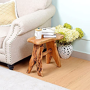 Brefhome Wooden Tree Stump Plant Stand Stool Side Table,Small Natural Wood Bench,Indoor/Outdoor Use
