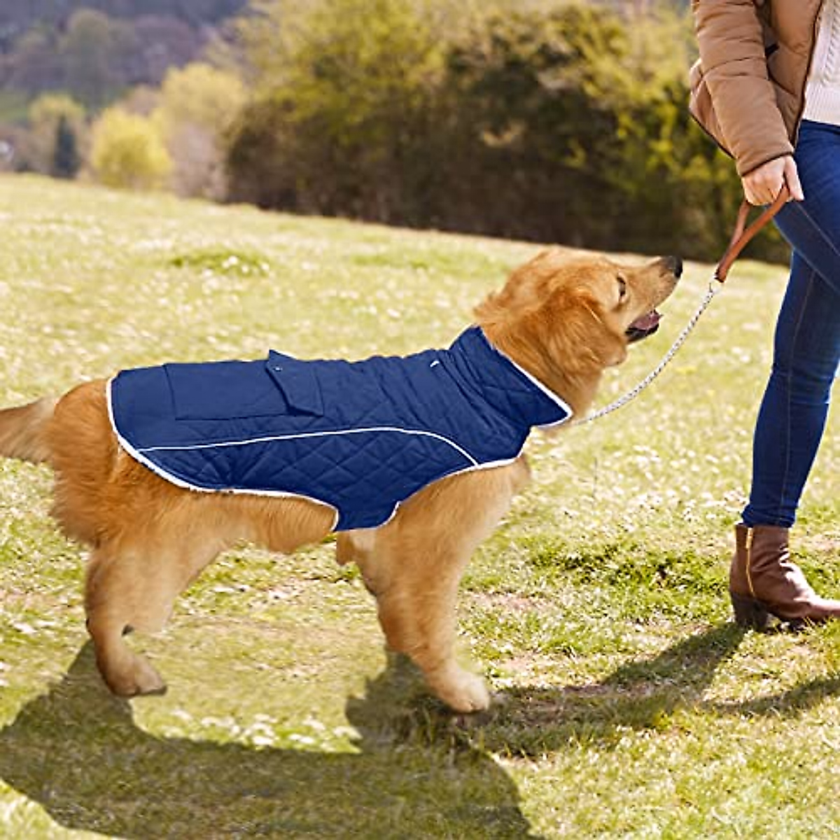 Malier Dog Winter Coat, Windproof Dog Cold Weather Coats with Real Pocket, Winter Dog Extra Warm Coat Dog Fleece Jacket Reflective Dog Clothes for Small Medium Large Dogs and Puppy (Large, Blue)