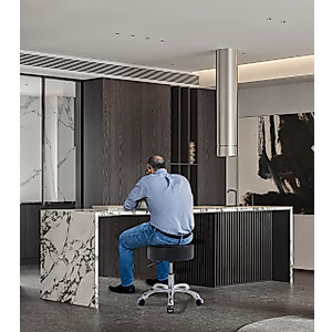 Lilfurni Swivel Rolling Stool Round Chair,Thick Sturdy Padding,Adjustable Stool with Wheels for Doctor,Medical,Massage Salon,Office,Shop(Black) (no Back, Black)