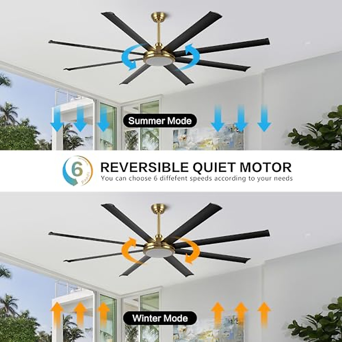 WINGBO 64" Ceiling Fan with Lights and Remote Control, Brass and Black Ceiling Fan, 8 Aluminum Blades, 6-Speed Reversible DC Motor, Modern Ceiling Fan for Kitchen Bedroom Living Room, ETL Listed