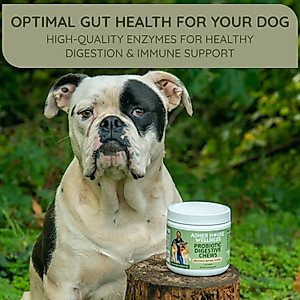 Asher House Wellness Probiotics Digestive Chew for Dogs - Dog Probiotic, Digestive Enzymes for Gut Health & Digestion - Pet Chews for Diarrhea, Upset Stomach, Allergies, Itchy Skin Relief, 120 Chews