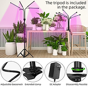 yoyomax Grow Light Plant Lights for Indoor Plants Full Spectrum LED Growing Lamps with Timer for House Greenhouse Seed Starting Succulent Growth Garden Seedlings (5 Heads)