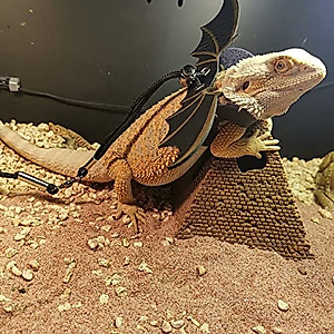 Bearded Dragon Harness Leash, Leather Lizard Traction Belt Adjustable Reptile Leash with Wings for Lizard Amphibians