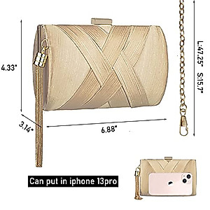 Adoranda Clutch Purses for Women Tassel Evening Bags for Wedding Prom Night out Party