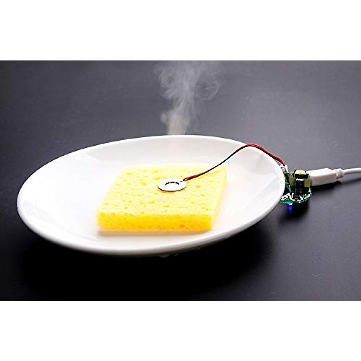 ToToT 2PCS 16mm Ultrasonic Mist Maker Fogger Ceramics Discs Atomizer Humidifier Accessories with Wire and Sealing Ring