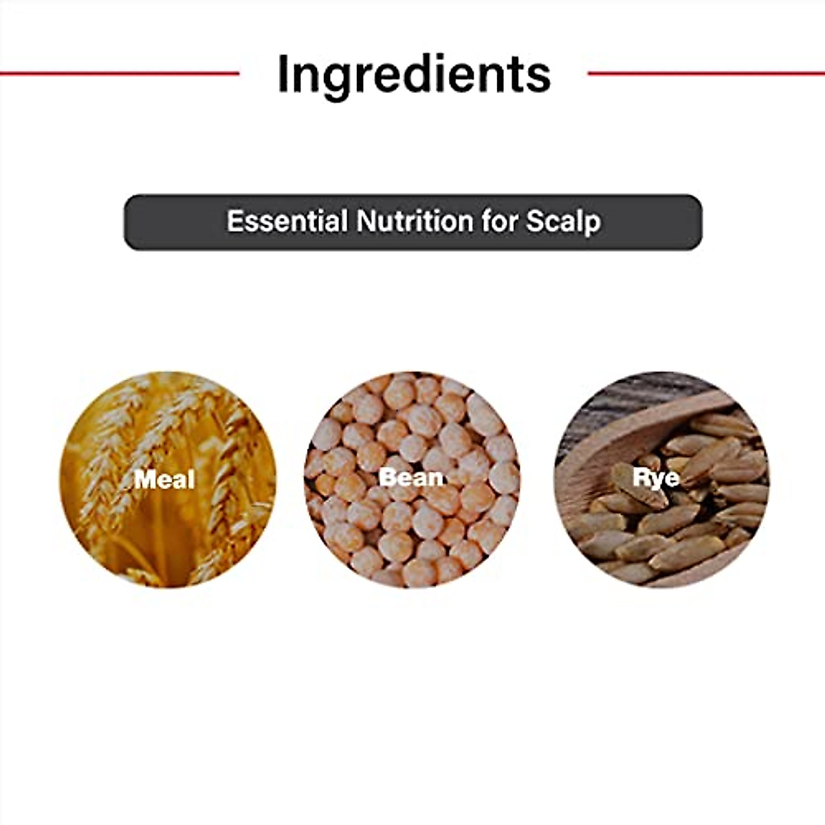 Dr.FORHAIR Folligen Volume Biotin Treatment (25oz) For Hair Regrowth Relieving Hair Loss Thinning Hair Care Shiny Increase Volume Strength Thickening Root Enhancer (No Paraben, Silicone, Sulfates)