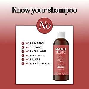 Argan Oil Shampoo for Dry Hair - Sulfate Free Shampoo for Damaged Hair and Frizz with Argan Oil for Hair - Volumizing Shampoo for Hair Shine and Volume Featuring Ultra Moisturizing Natural Oils