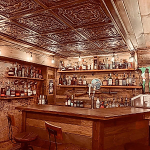 From Plain To Beautiful In Hours DCT04 Elizabethan Shield PVC 2' x 2' Lay-in or Glue-up Ceiling Tile (Covers / 200 sq.ft), Weathered Copper, 50 Piece