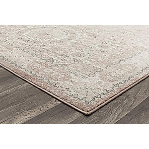 Rugs America Harper HY60A Pink Lemonade Transitional Vintage Area Rug, 5'x7'
