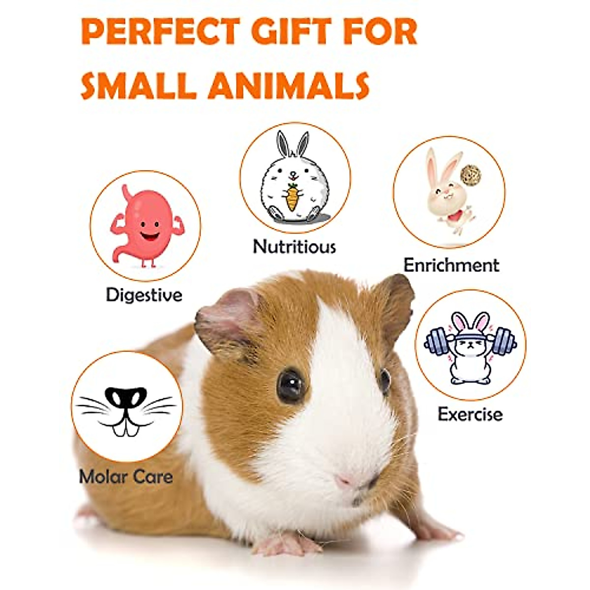 Sofier Hamster, Guinea Pig Toys Accessories Natural Chews for Teeth Rabbit Bunny Rat Chinchilla Hideout Ball Apple Wood Timothy Hay Sticks